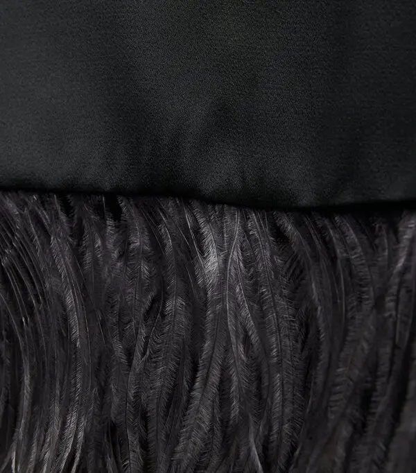 Fabiana Filippi Satin Ostrich Feather-trim Blouse