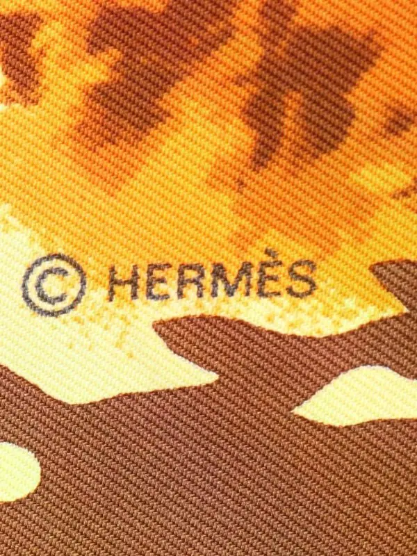 Hermès 2010s Africa Silk Scarf