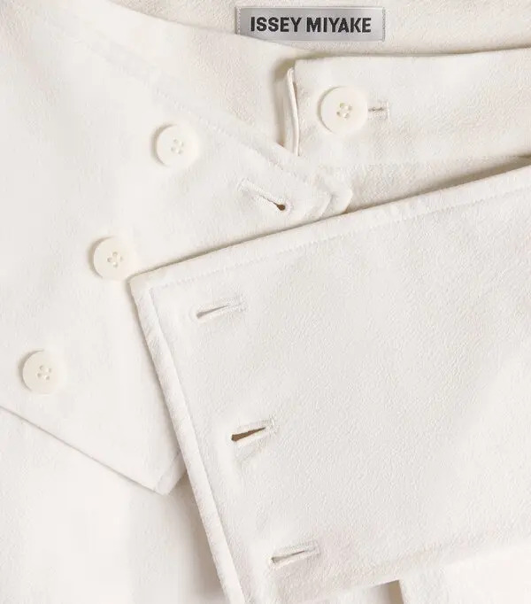 Issey Miyake Grainy Pants Tailored Trousers