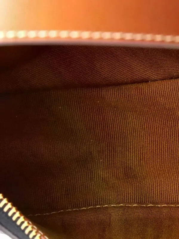 Celine Ava Bag Triomphe Coated Canvas Hobo Bag