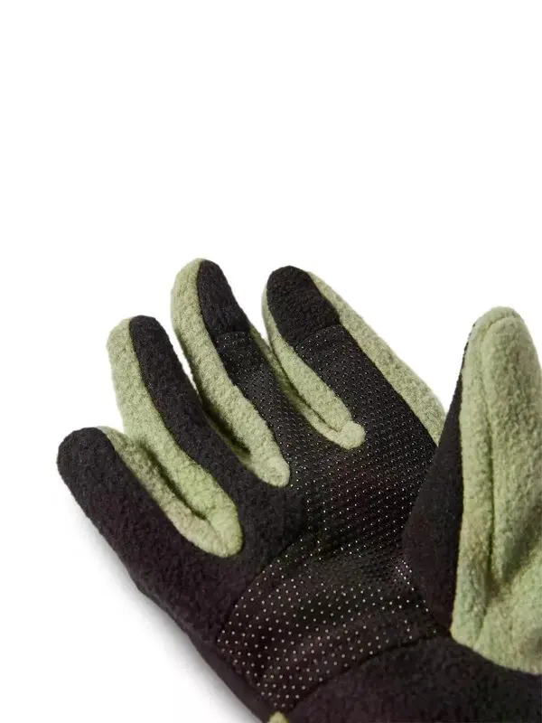 The North Face Denali Etip Gloves - Green