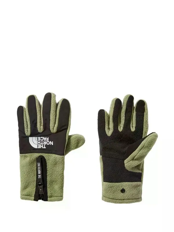 The North Face Denali Etip Gloves - Green