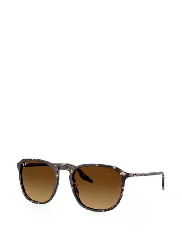 Ray-ban Rb2203 Square-frame Sunglasses