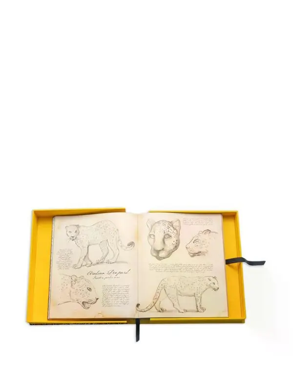 Assouline Arabian Leopard Book