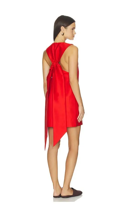 SRG Daniel Mini Dress In . Also