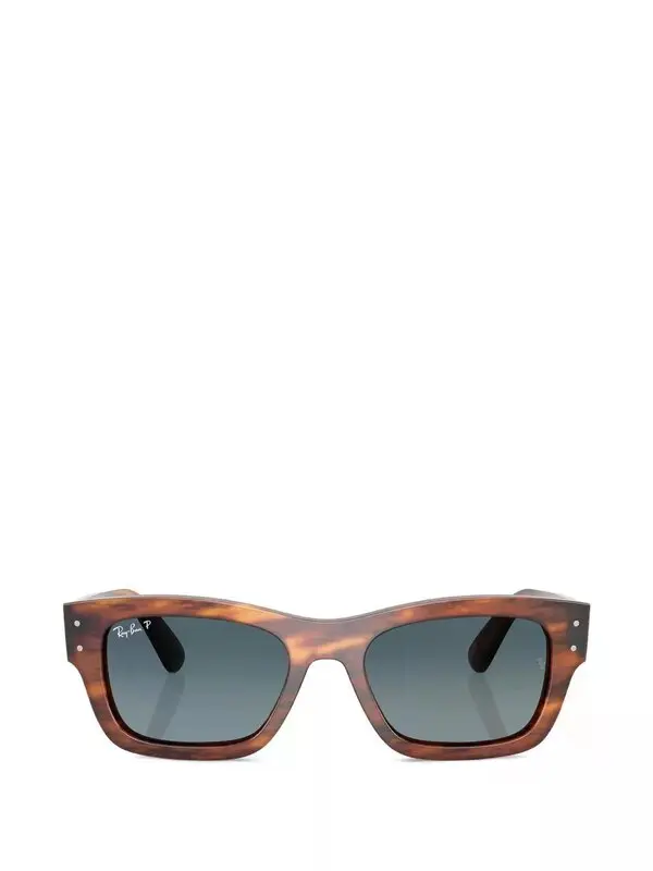 Ray-ban Joseph Sunglasses