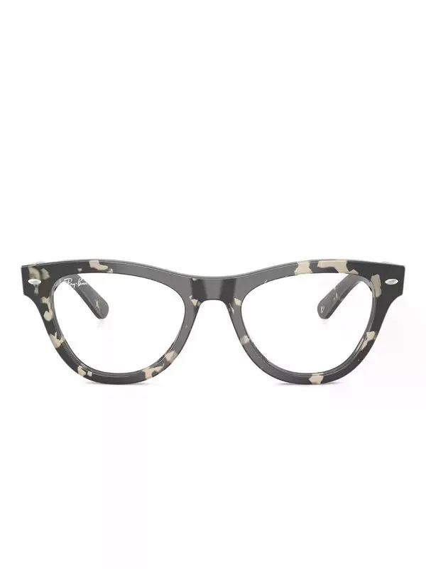 Ray-ban Tortoise Glasses