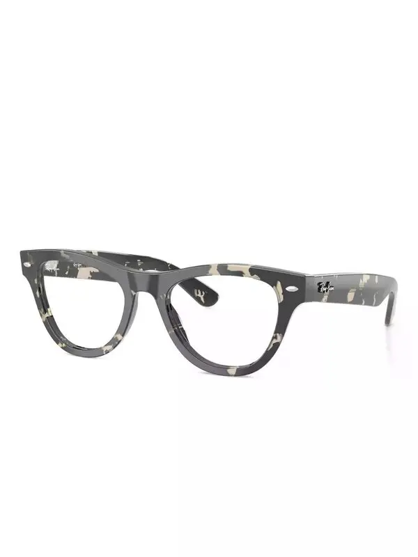 Ray-ban Tortoise Glasses