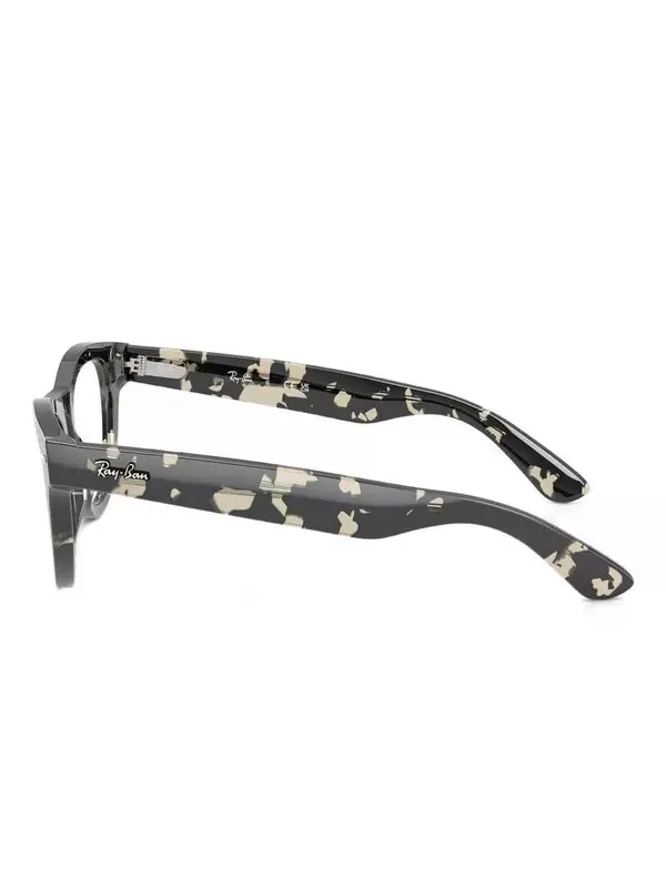 Ray-ban Tortoise Glasses