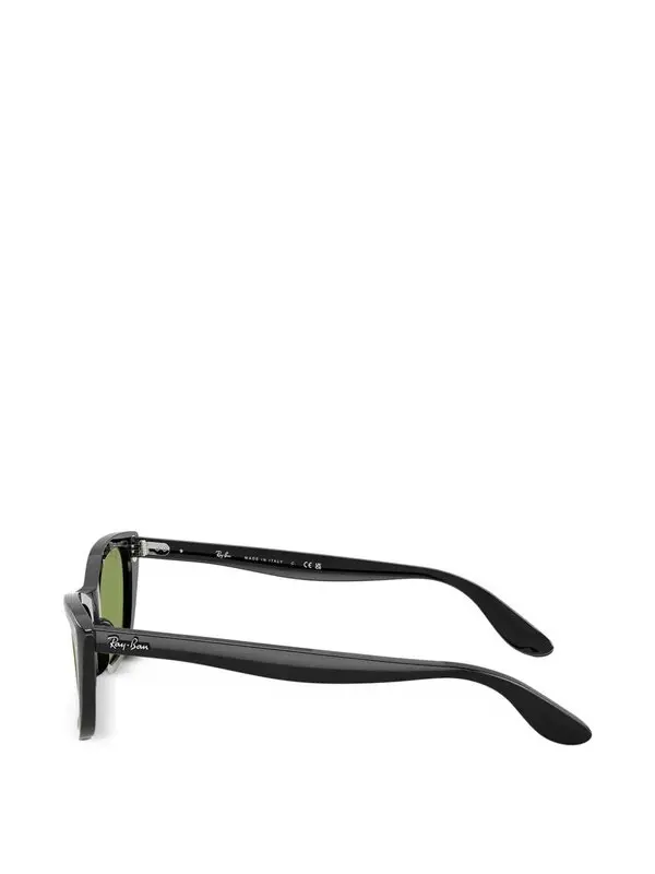 Ray-ban Lady Burbank Cat-eye Sunglasses