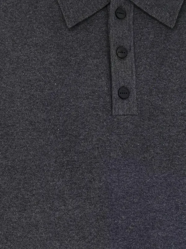 HEVO Button-fastening Long-sleeve Polo