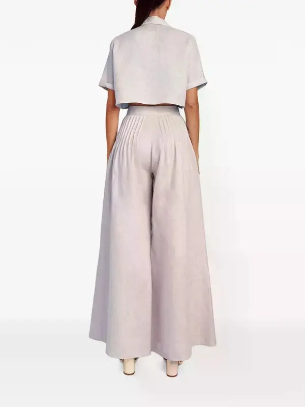 Azulu Posey Pleated Palazzo Pants