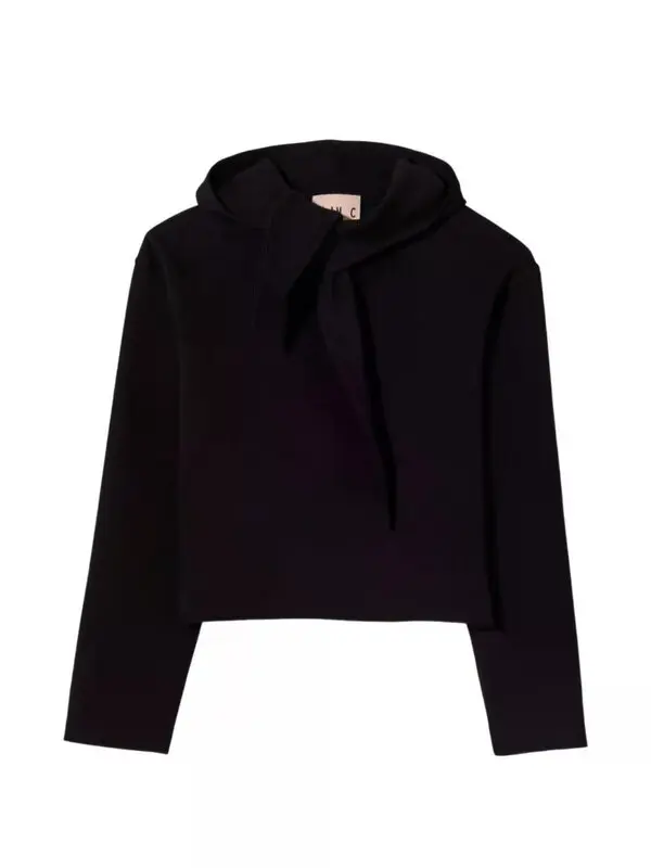Plan C Cropped Hoodie With Scarf Collar