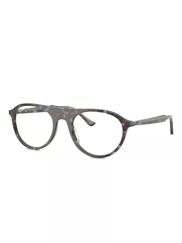 Ray-ban Tortoiseshell Round-frame Glasses