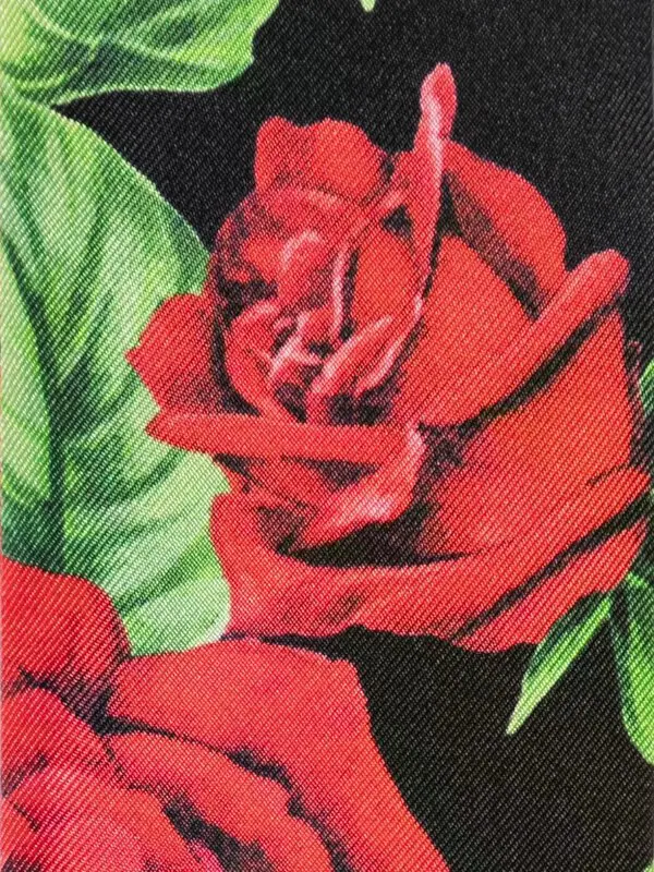 Dolce & Gabbana Rose-print Scarf