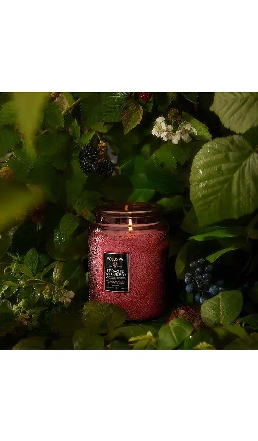 Voluspa Foraged Wildberry Large Jar