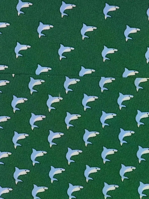 FERRAGAMO Printed Silk Neck Tie