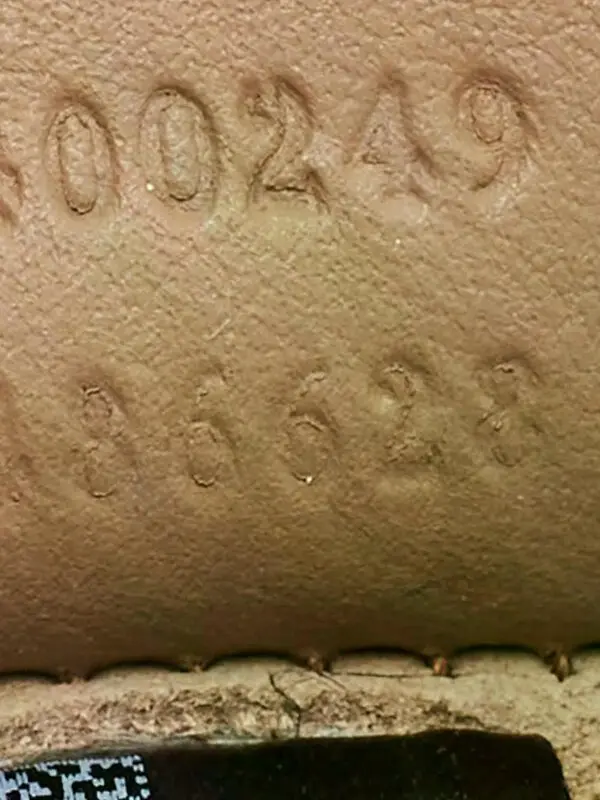 Gucci Dionysus Gg Blooms Shoulder Bag