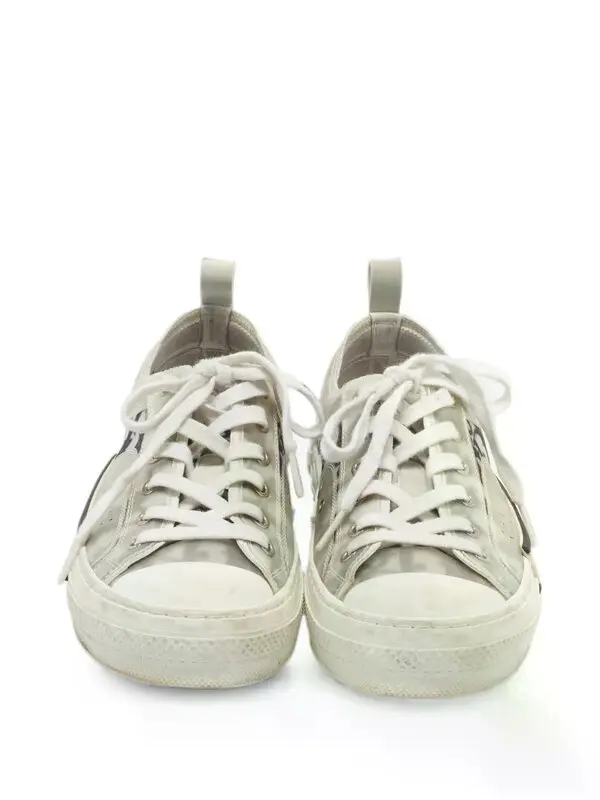 Dior Walk'n' Oblique Sneakers