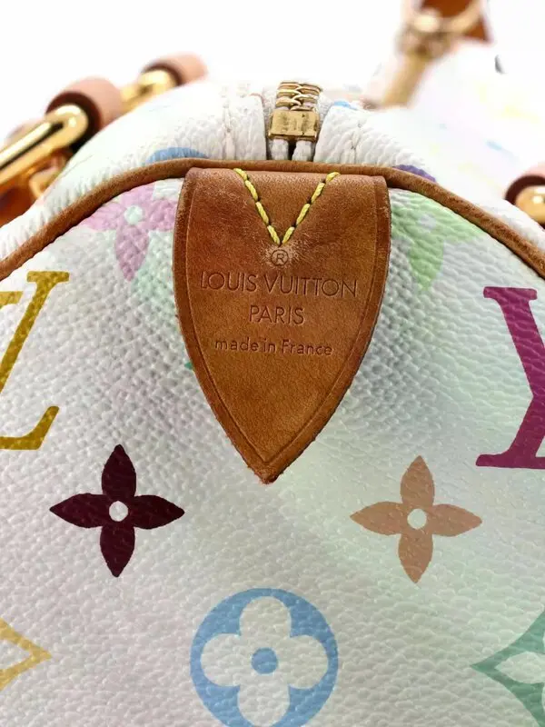 LOUIS VUITTON Speedy Handbag Monogram Multicolor 30 Satchel