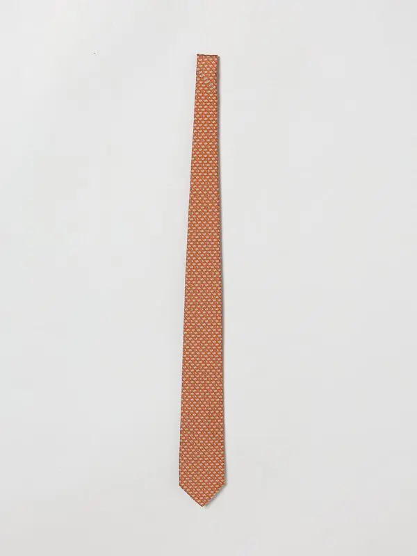 FERRAGAMO Tie Colour
