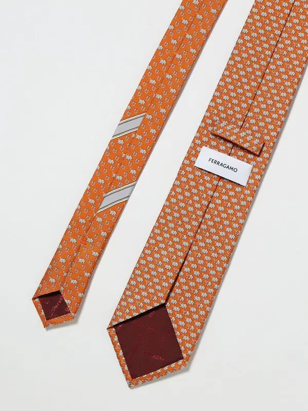FERRAGAMO Tie Colour