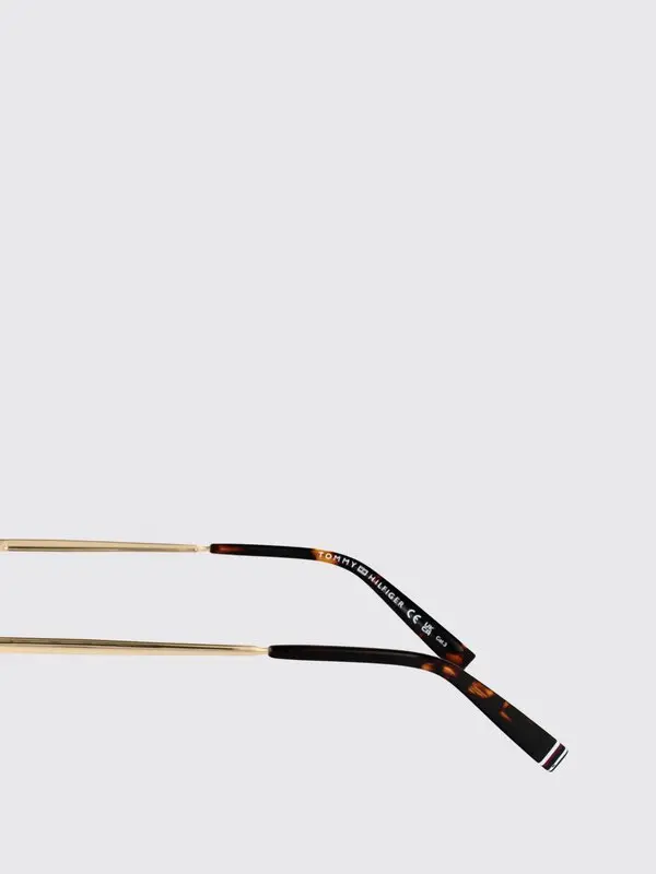 Tommy Hilfiger Round Frame Sunglasses
