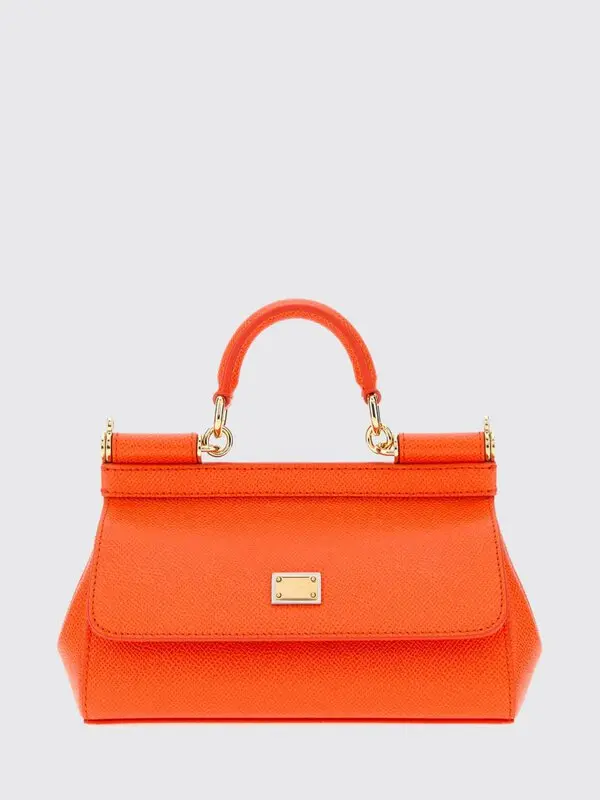 Dolce & Gabbana Handbag Colour