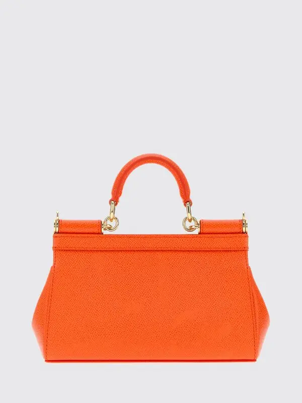 Dolce & Gabbana Handbag Colour