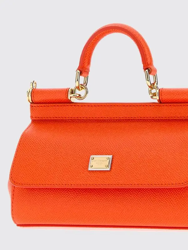 Dolce & Gabbana Handbag Colour