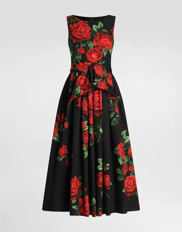 Dolce & Gabbana Rose-print Poplin Dress Dresses - Multicolor
