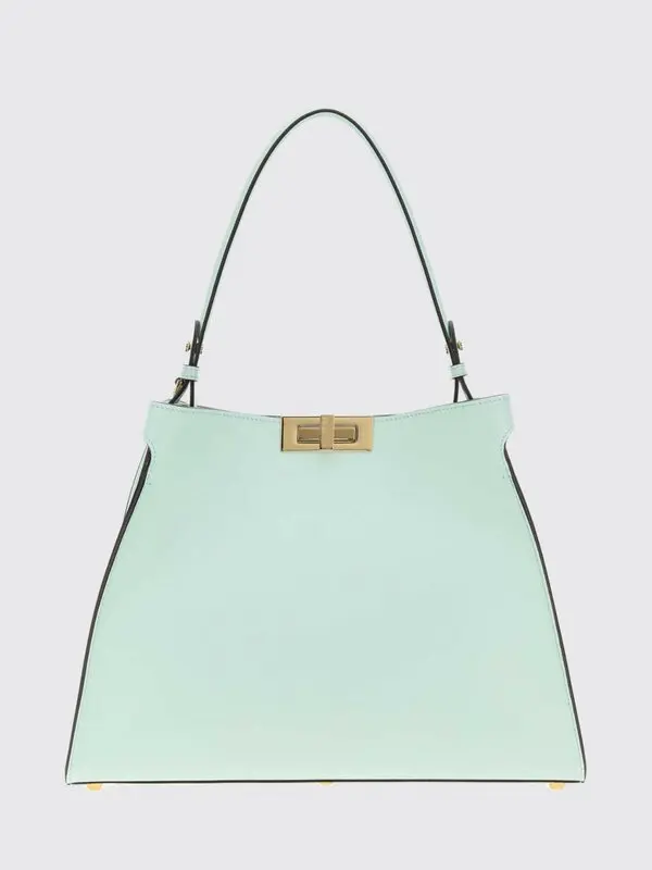Fendi Handbag Colour