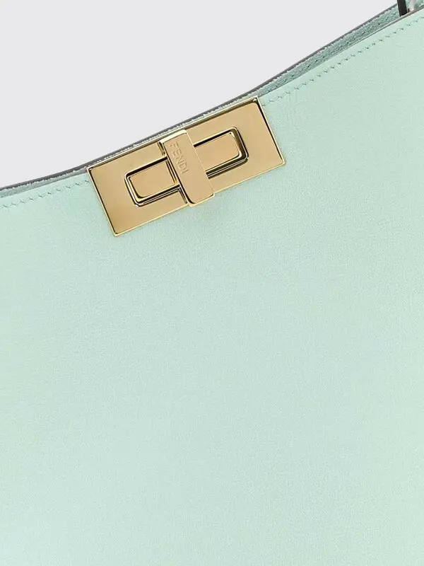 Fendi Handbag Colour
