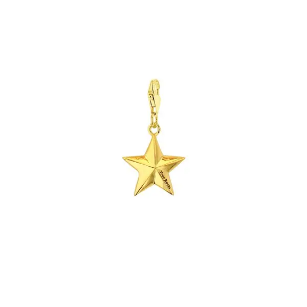 TRUE ROCKS Mini Star Charm 18kt Plated