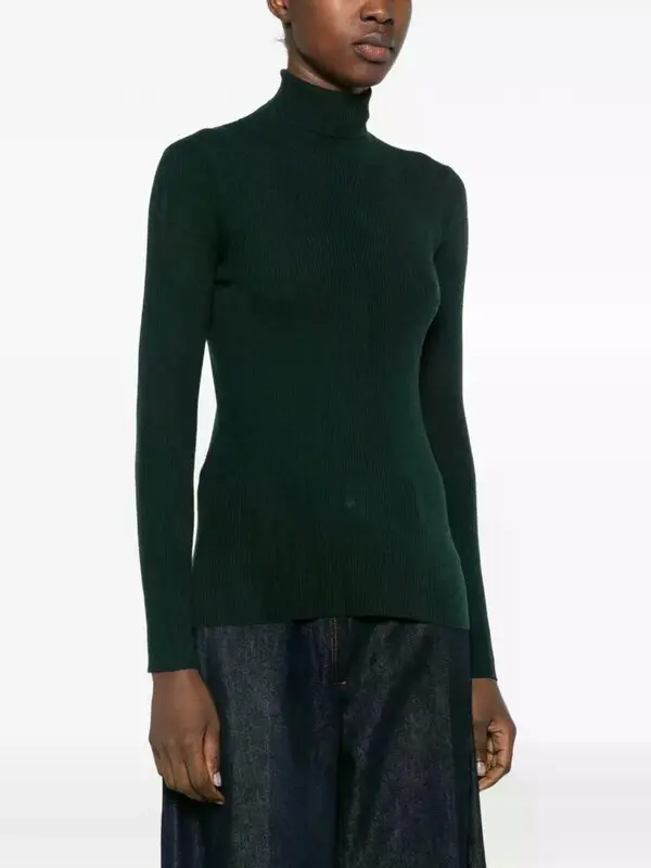 Maje Ribbed-knit Roll-neck Sweater