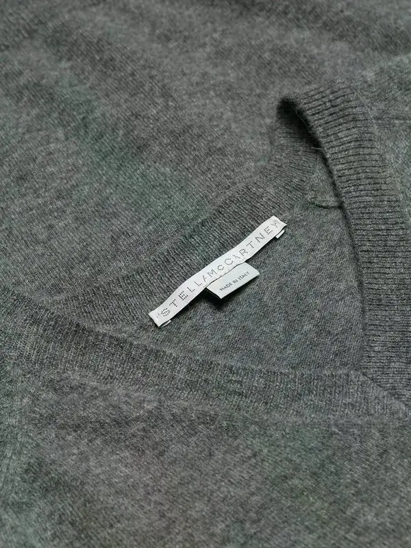 Stella McCartney V-neck Pullover