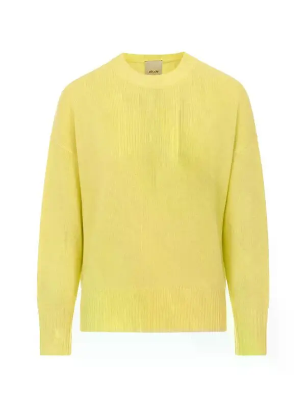 ALLUDE Cashmere Crew Neck Long Sleeve Sweater