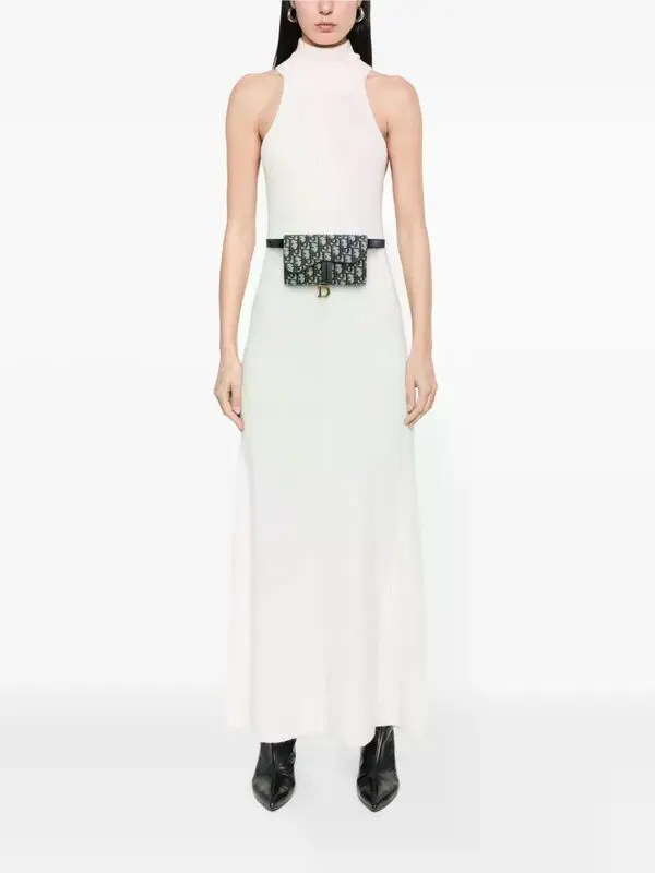 Dior 2020 Oblique Canvas Saddle Belt Bag