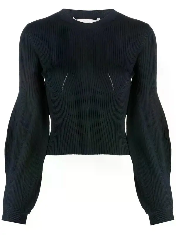 Stella McCartney Ribbed-knit Crewneck Jumper