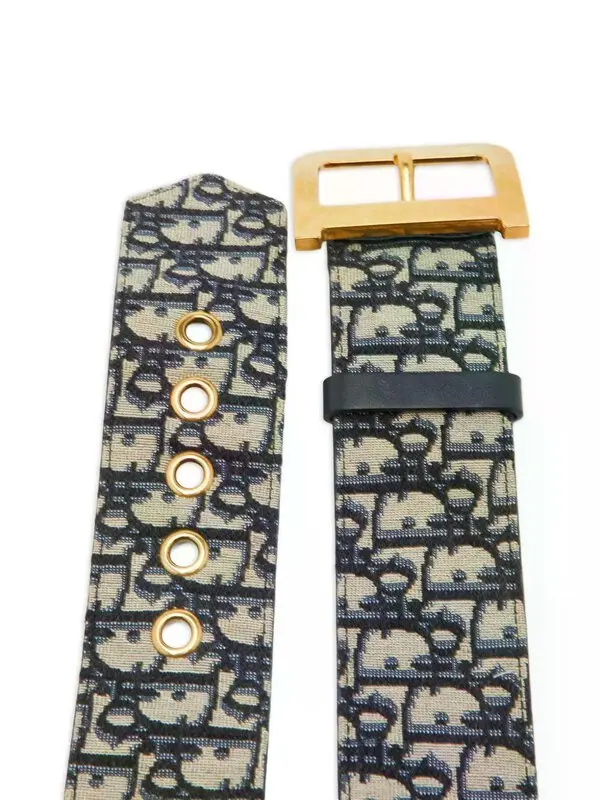 Dior Diorquake Oblique Belt