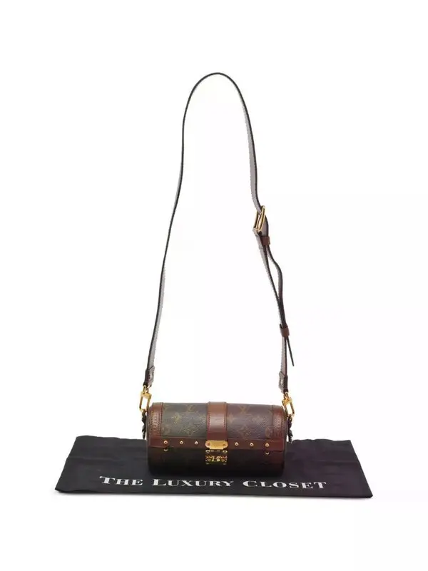 LOUIS VUITTON Papillon Trunk Monogram Canvas Shoulder Bag