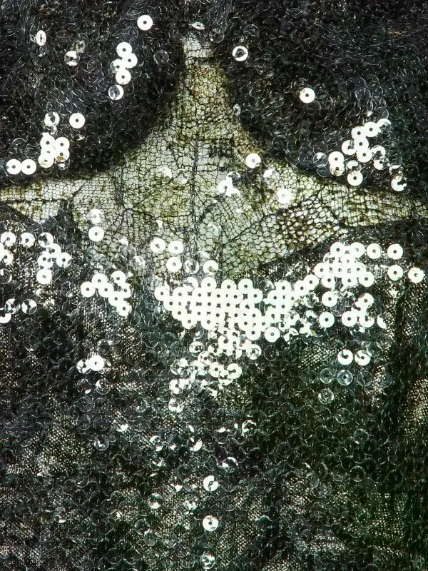 LOUIS VUITTON Sequin Bow Top