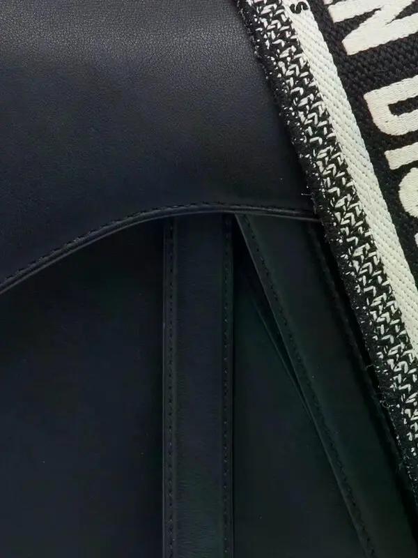Dior 2020 Ultramatte Saddle Leather Handbag