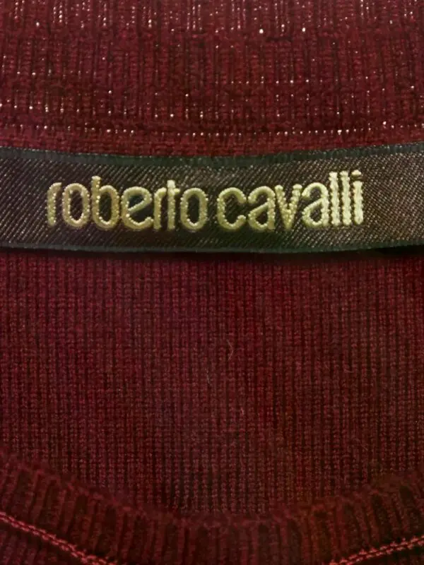 Roberto Cavalli Mesh Panel Bodycon Mini Dress