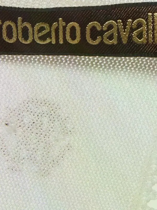 Roberto Cavalli Lace Detail Mini Dress