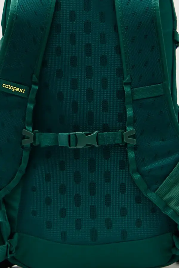 COTOPAXI Elqui 18l Backpack - Kale