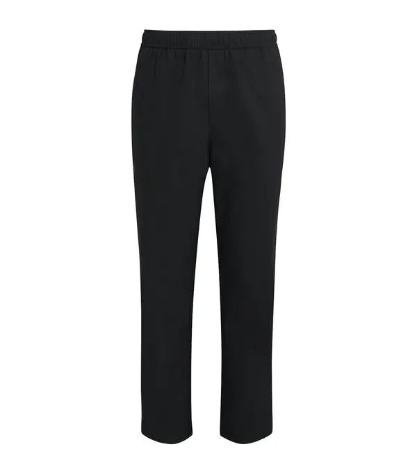 SAMSØE SAMSØE Linen Sajabari Chinos