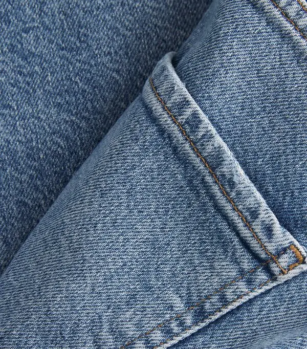 AGOLDE Ren Wide-leg Jeans