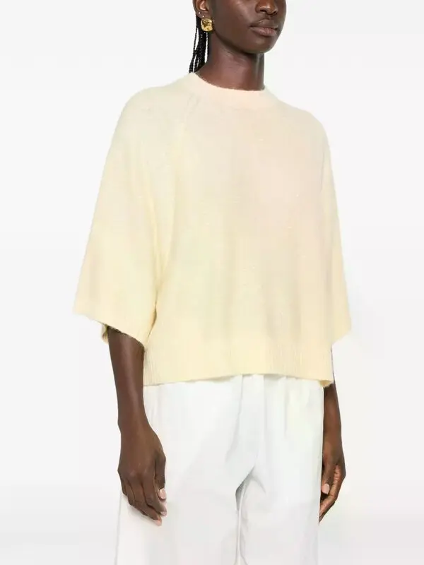 Fabiana Filippi Sequin-embellished Raglan-sleeve Sweater