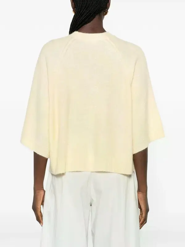 Fabiana Filippi Sequin-embellished Raglan-sleeve Sweater